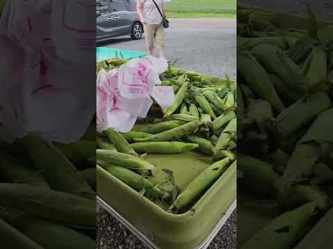 I love how little roadside farm stands are all over Lancaster County PA. #lisagrahamrealtor