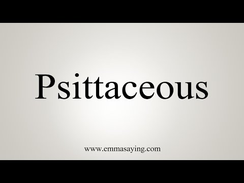 How To Say Psittaceous