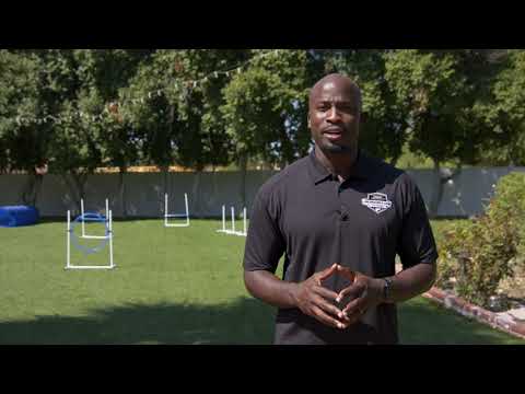 Tune-in to the 2020 Purina Pro Plan Incredible Dog Challenge Finals Broadcast