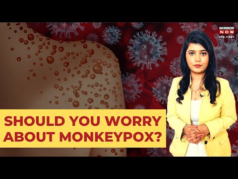 Explained | What Is Monkeypox? Symptoms, Transmission, and Treatments | English News | Latest Update