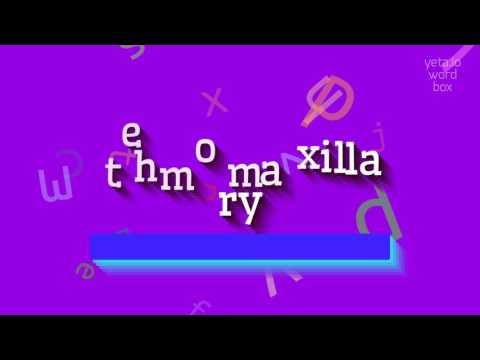 HOW TO SAY ETHMOMAXILLARY? #ethmomaxillary