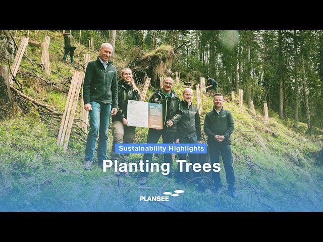 Strong sales, strong forest | Plansee