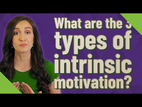 What are the 3 types of intrinsic motivation?