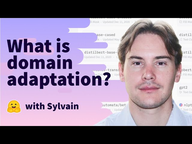 What is Domain Adaptation | Ai Basics | Ai Online Course