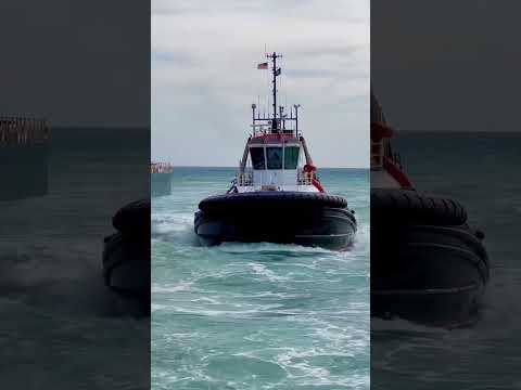 Why Giant Ships Are BANNED From Docking Themselves