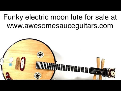 Awesomesauce electrified Yueqin electric noise instrument The | Reverb