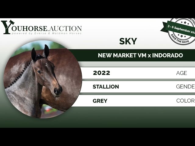 Youhorse.auction | Sky