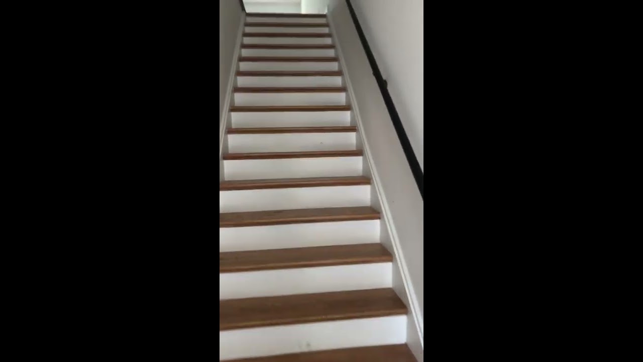 1207B Bainbridge st. 2nd floor 3 bedroom