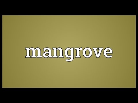 Mangrove Meaning
