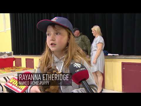 Newfoundland girl names new RCMP puppy