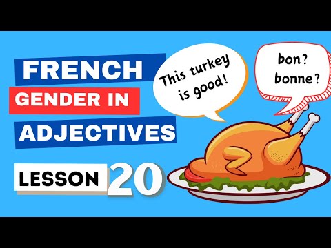 Bon or Bonne? French Gender in Adjectives | 20th Lesson | #learnfrench
