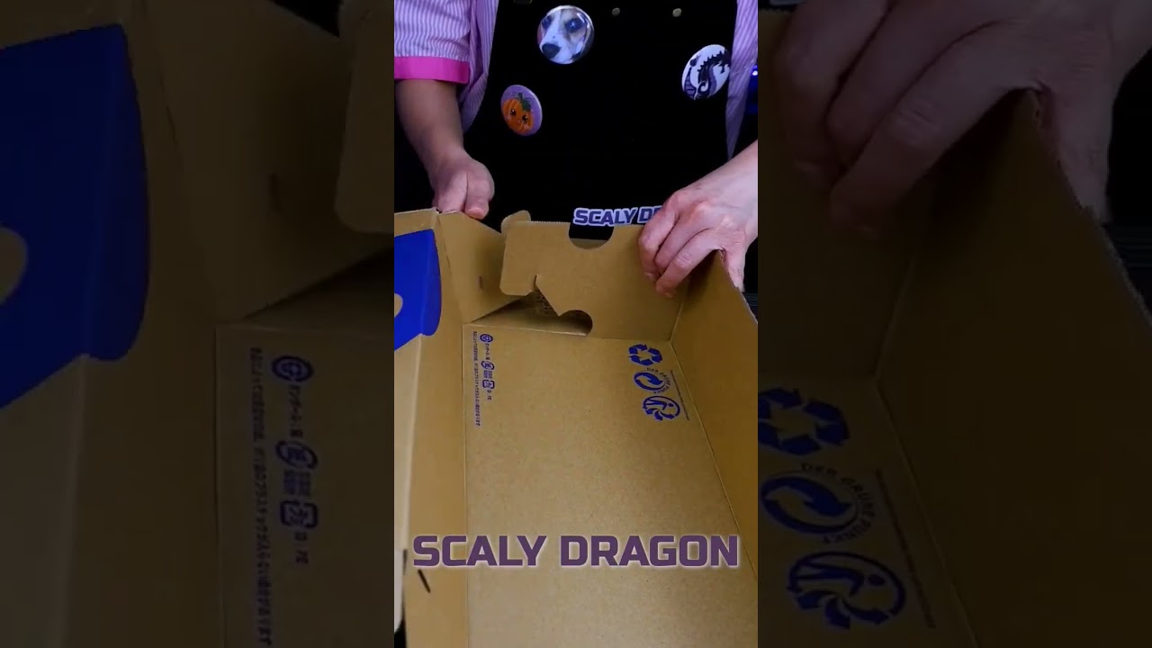 Life Hack con cajas de zapatos #scalydamadragon