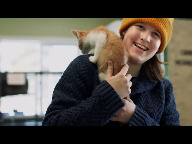 Luke Morgan Tyler: Petition demands WSU’s Theta Chi fraternity to be ...