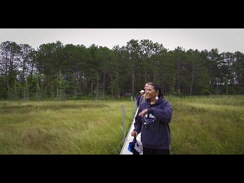 Protecting our Waters: Wetland Conservation and the Red Cliff Band of Lake Superior Chippewa