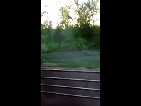 Ct Fastrak track Newington to New Britain