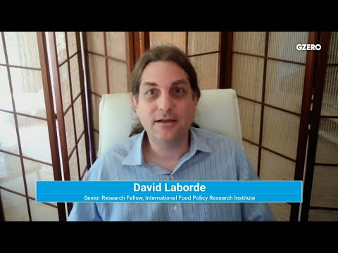 We’ve Reached Peak Global Food Inflation, Says IFPRI Expert David Laborde | GZERO Media