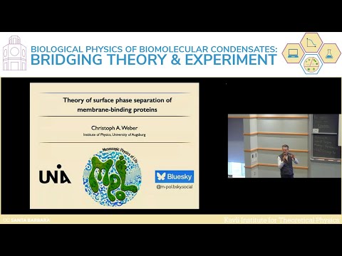 Theory of surface phase separation of membrane-binding proteins | Chris Weber (U Augsburg)