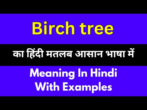 Birch tree meaning in Hindi/Birch tree का अर्थ या मतलब क्या होता है.