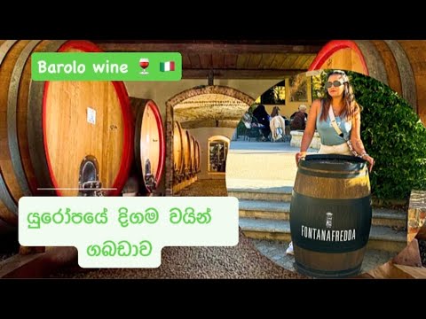 Europe's longest wine cellar. Barolo | Fontanafredda |
