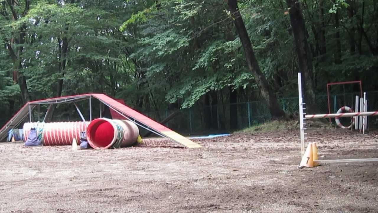 'Sola' Running Contact