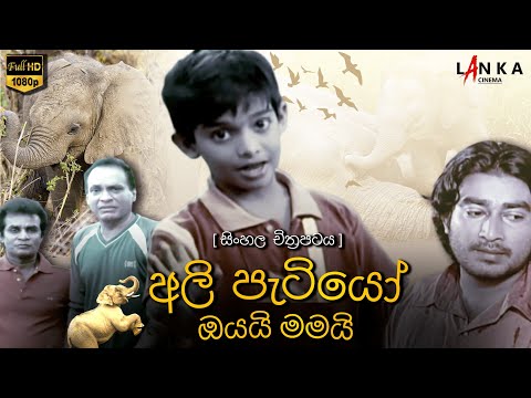 Ali Patiyo Oyai Mamai 2006 Full Movie