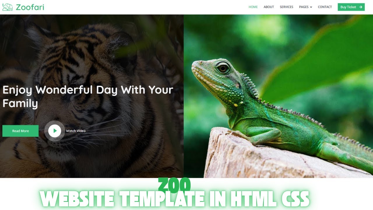 How to make a ZOO website template in HTML CSS and Javascript | Source code