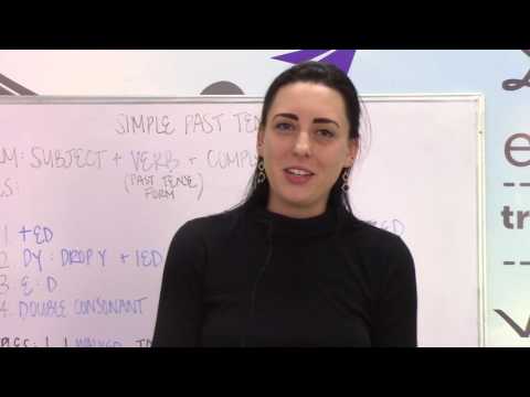 Sara's Video Resume
