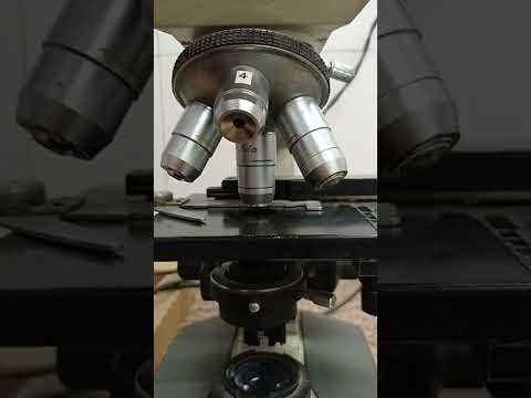 List Lab Instruments and Their Use | medical laboratory equipment name and use