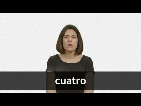 English Translation of “CUATRO” | Collins Spanish-English Dictionary