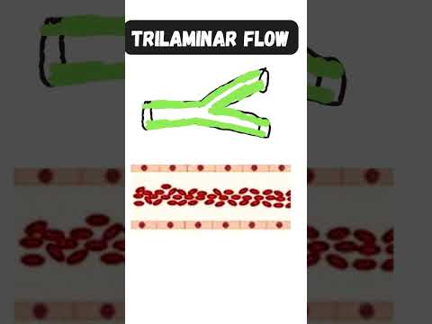 "Bilaminar vs Trilaminar Flow in FFA Explained in 60 Seconds!