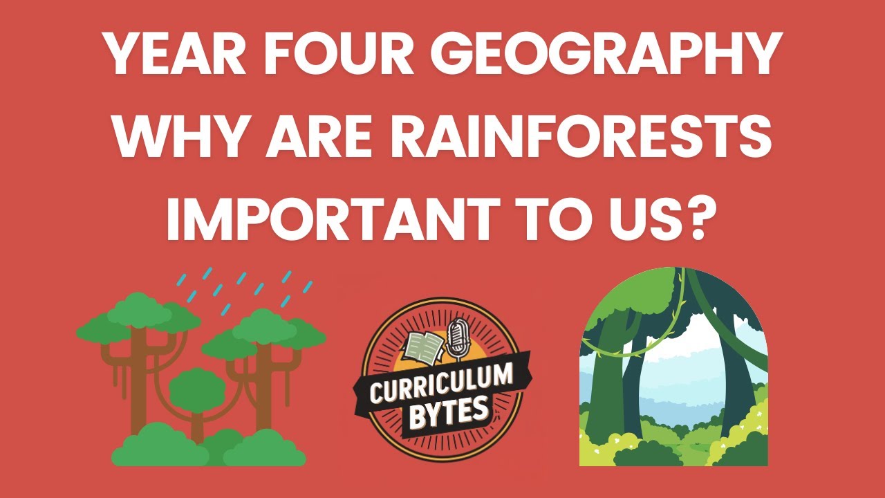 Year Four Geography - Why Are Rainforests Important To Us?
