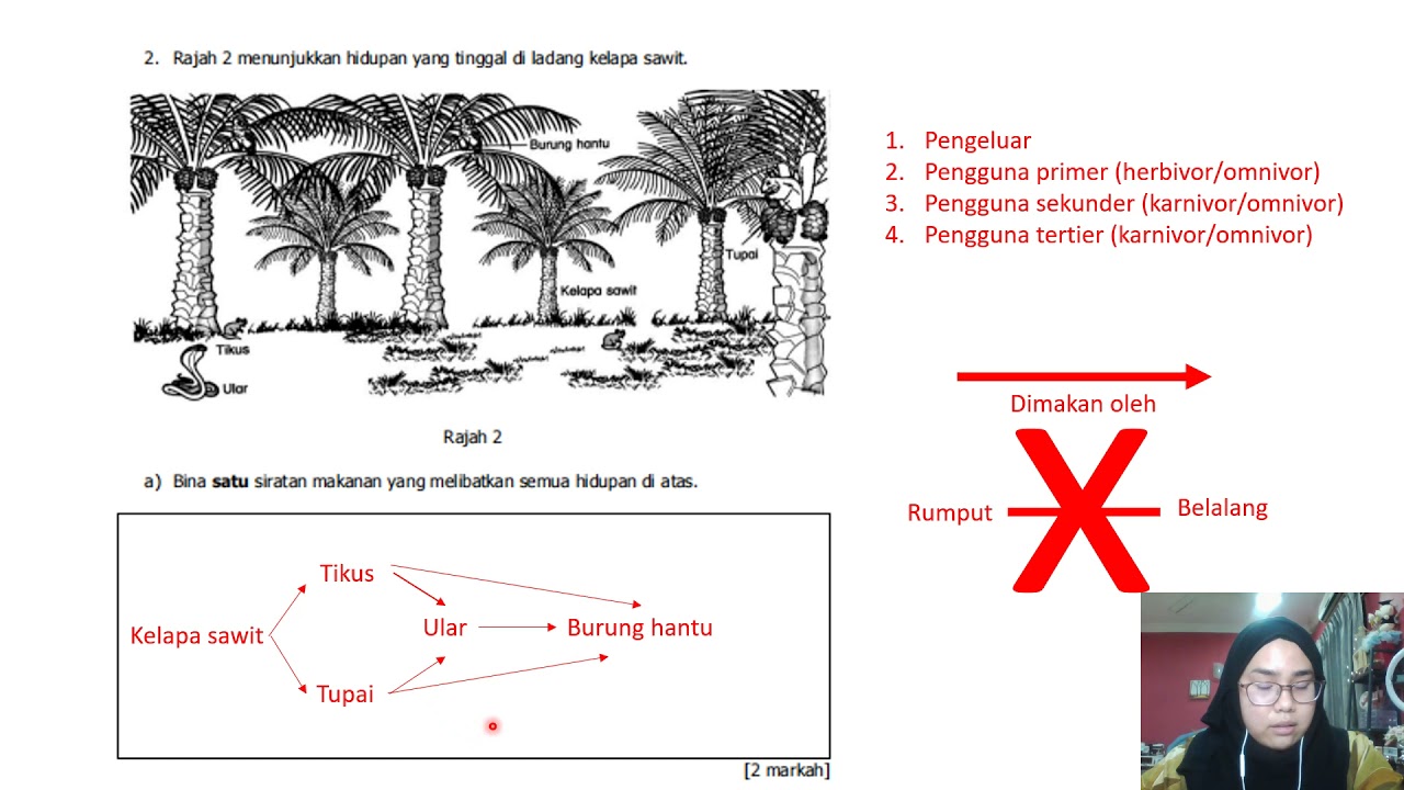PERBINCANGAN SOALAN PSPT (SAINS TAHUN 4)