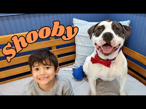 Shooby Memes Shooby Doo Has Heart Eyes For You!