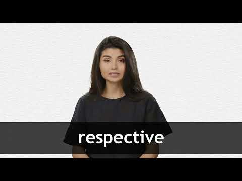RESPECTIVE - Definition & Translations | Collins English Dictionary