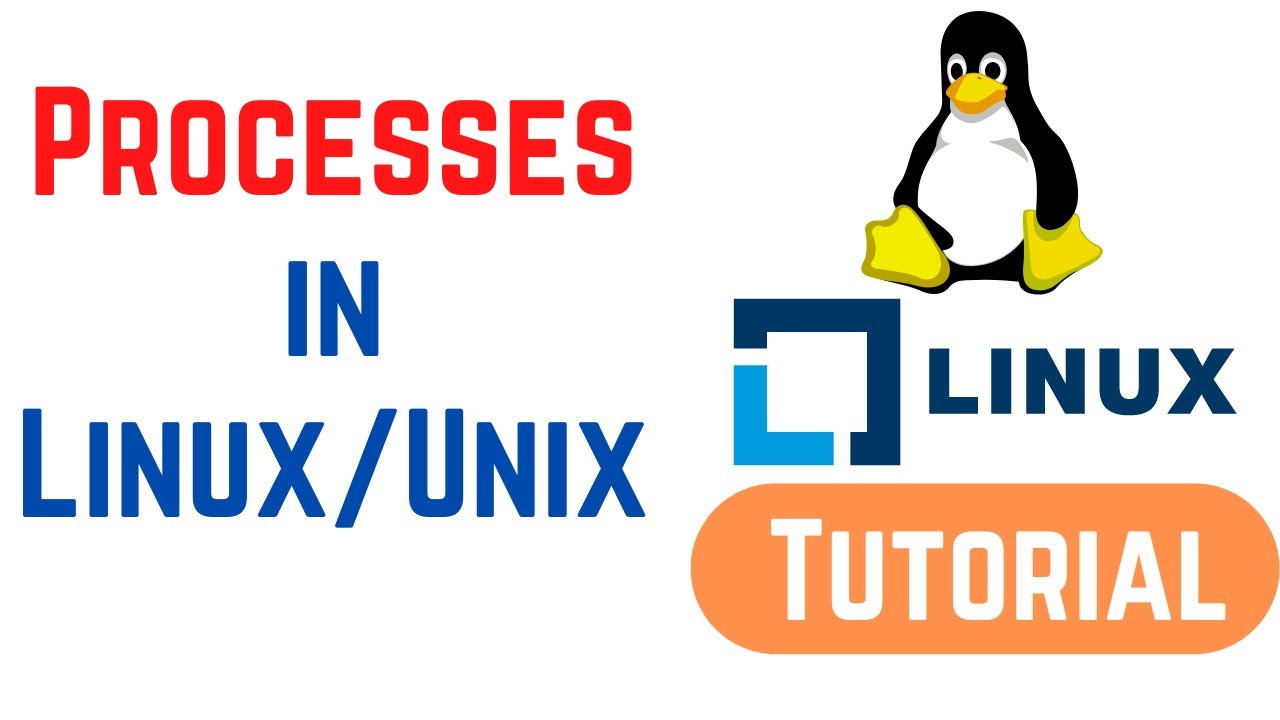 Processes in Linux/Unix