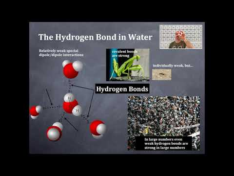 Bonding 85: The Hydrogen Bond in Water