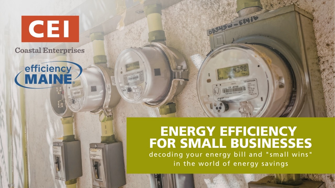 Energy Efficiency for Small Businesses