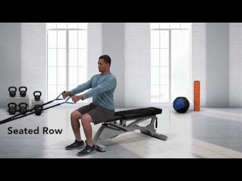 How To Do A Seated Row With Elastic Straps – Irene Pastore Fitness