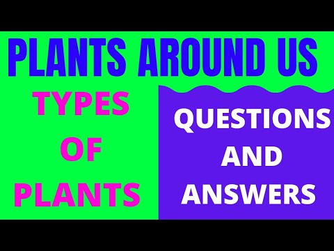 EVS / Science Plants Around Us for Class 1 । Types of Plants । Questions and Answers । Class 1 EVS