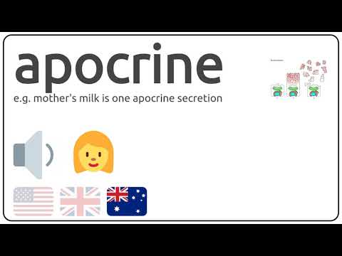 How to pronounce apocrine in english?