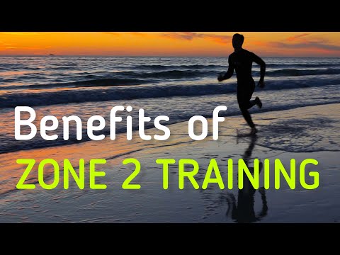 The Best Exercise For Health, Fitness, and Longevity (Benefits of Zone 2 training)