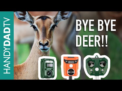 Electronic Deer Repellers - which one is best?