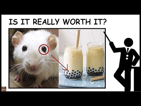 Why it is not worth it? IS IT REALLY WORTH IT MEME!
