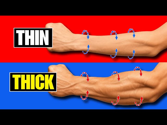 Unlock Massive Forearms with Just Two Essential Exercises | Galaxy
