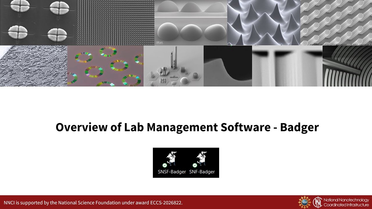 Badger GUI Overview