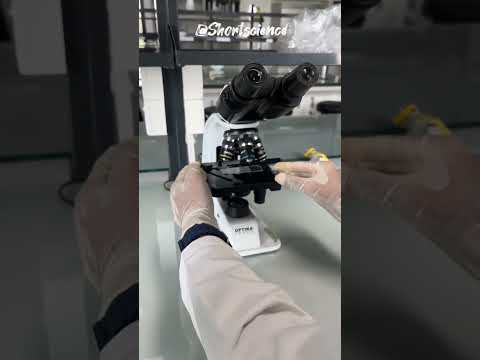 Pasteurized milk observing 🥛🧪🔬