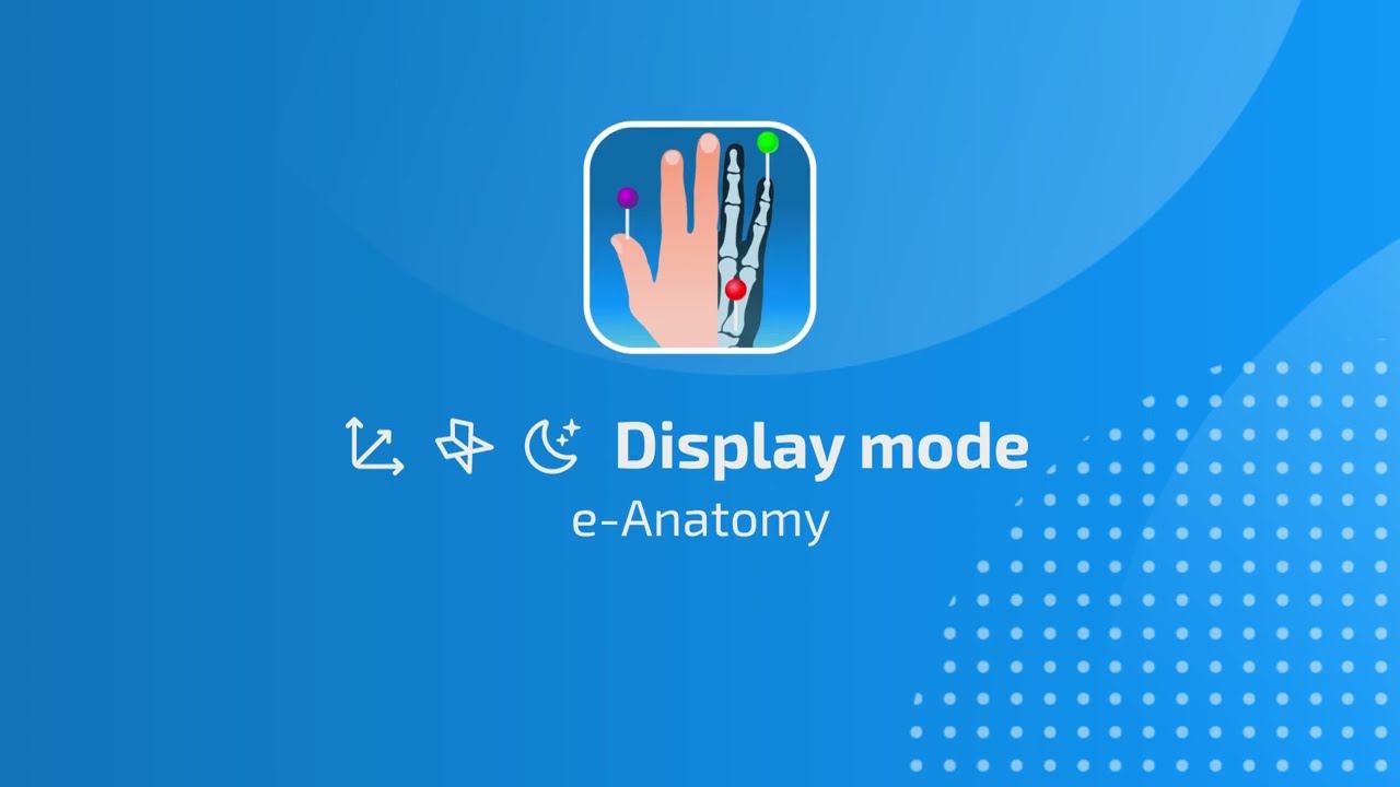 e-Anatomy: Display tools