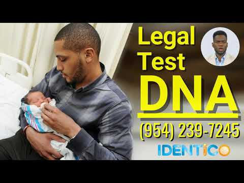 Legal Paternity DNA Test in South Florida