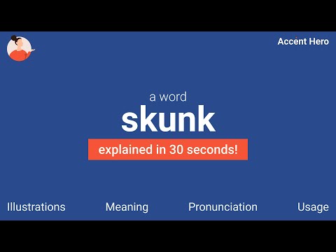 SKUNK - Meaning and Pronunciation