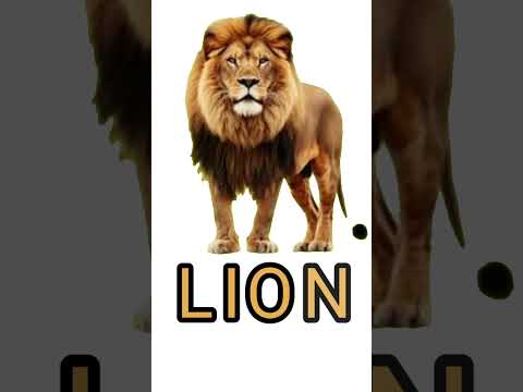lion spell